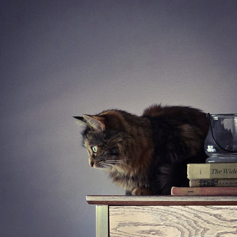 Hazel’s Quite Vigil – Crock’s Thoughts